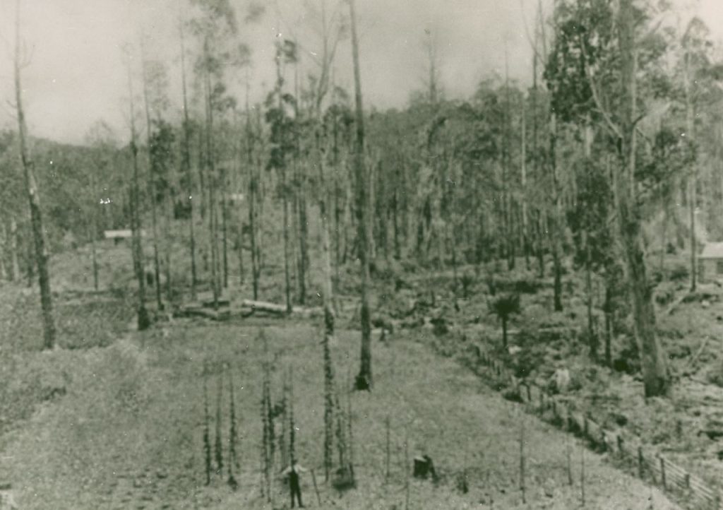 Allenvale - Lorne Historical Society
