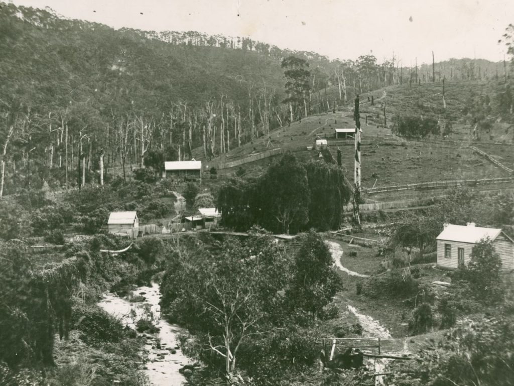Allenvale - Lorne Historical Society